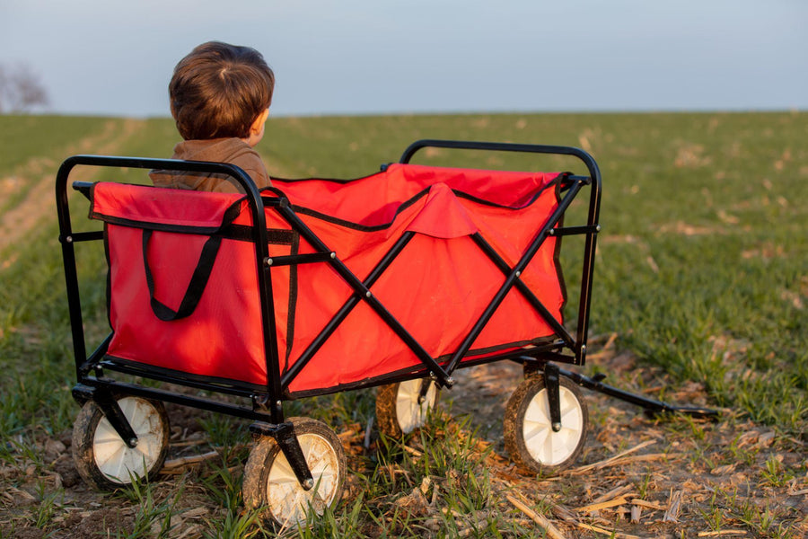 What’s the Best Baby Wagon? | Poppyseed Play Parenting Blog | Top Baby ...